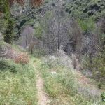 Stoddard Canyon Falls - The Hikers Way
