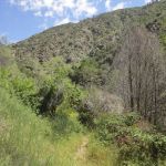 Stoddard Canyon Falls - The Hikers Way