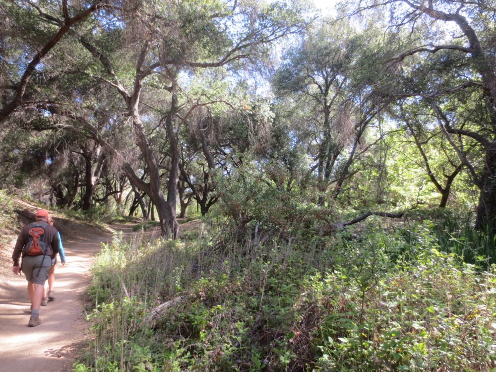 Whiting Ranch Red Rock Canyon Hike - The Hikers Way