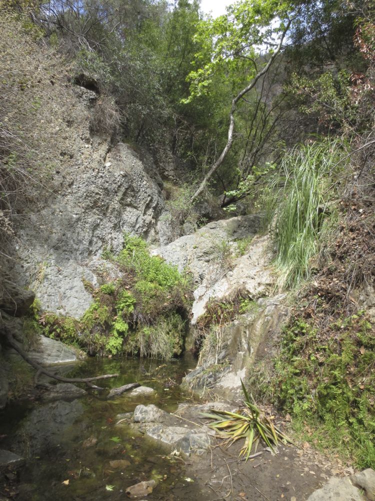 Temescal Canyon Hike - Los Angeles - The Hikers Way